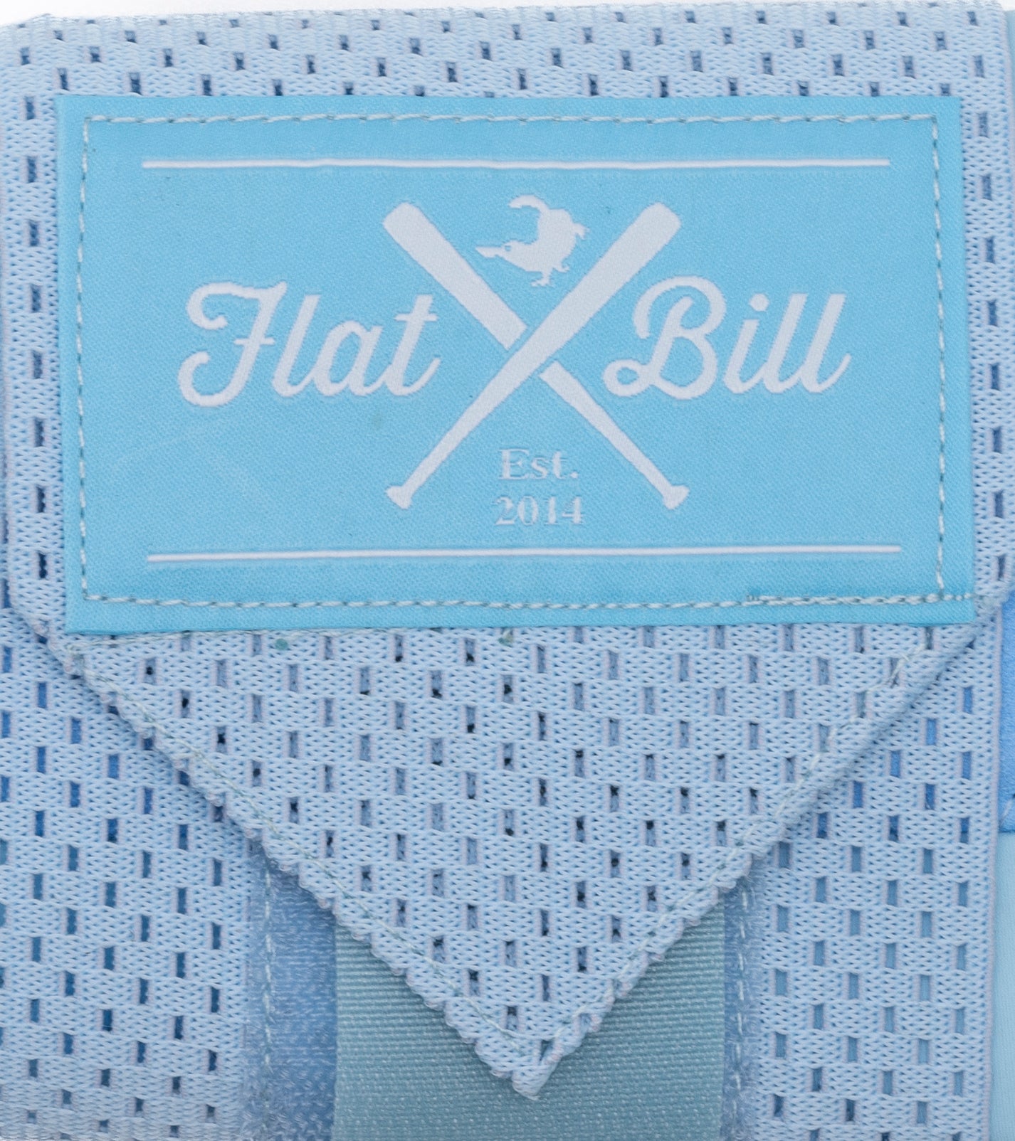 Carolina Blue Sliding Mitt Flatbill – Flatbill Baseball